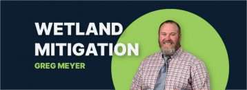 Greg Meyer | What is Wetland Mitigation? - Moore Engineering, Inc.