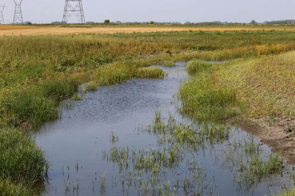 Environmental Services - Moore Engineering, Inc.