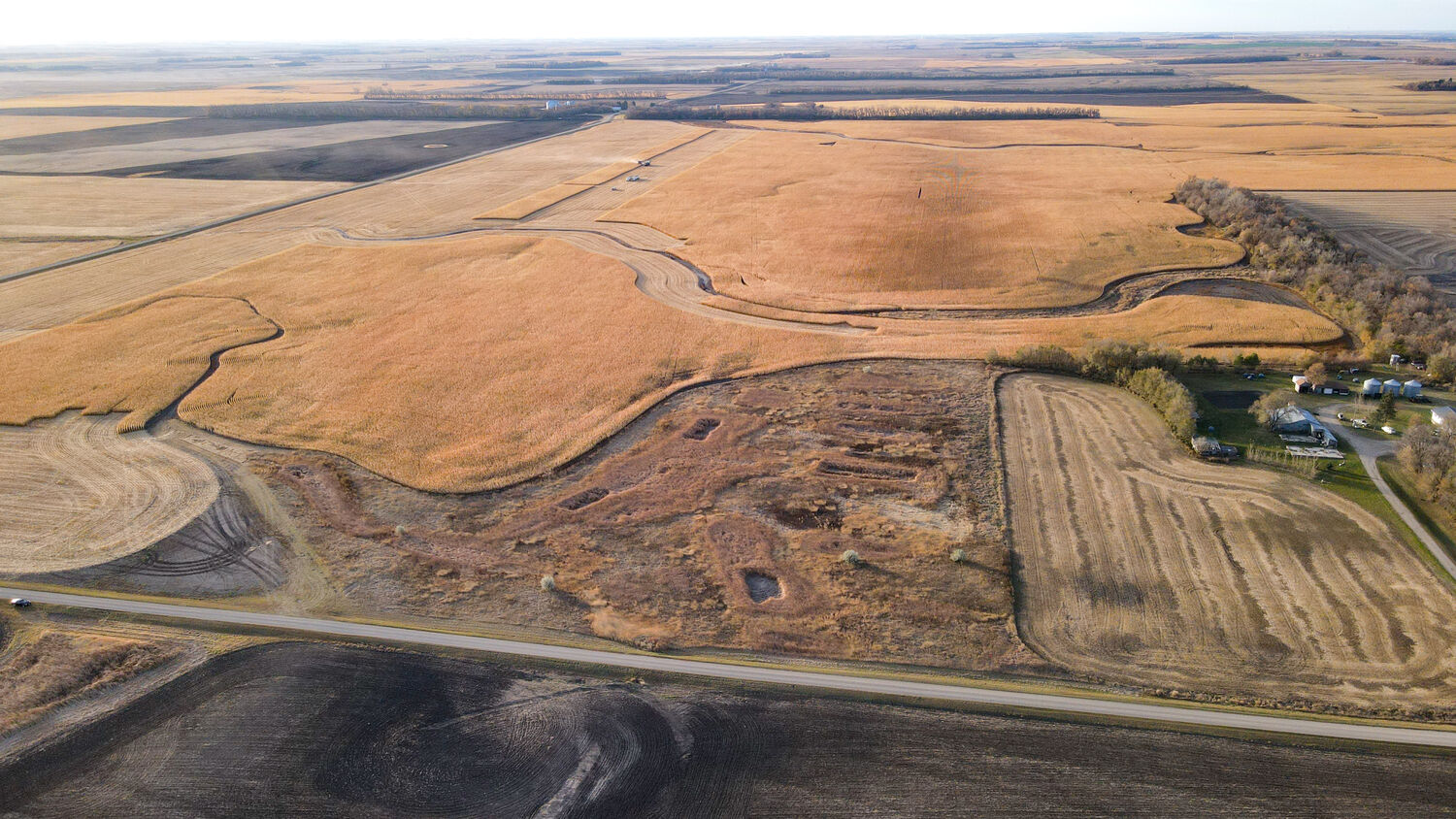 Wetland Services - Moore Engineering, Inc.