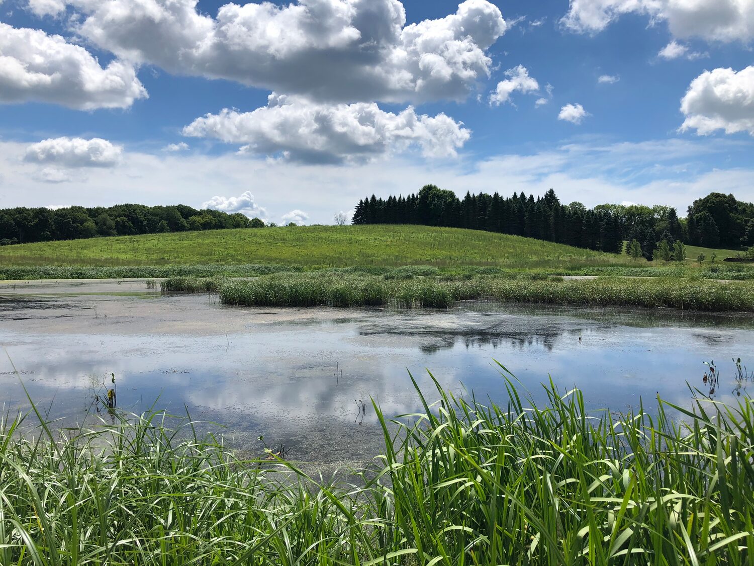 Environmental Services - Moore Engineering, Inc.