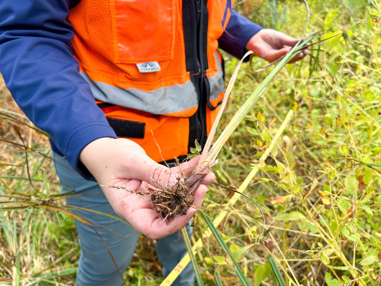 Projects Archive - Moore Engineering, Inc.