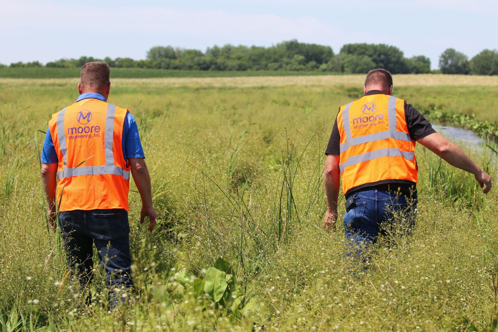 Understanding the 2024 Changes to Minnesota's Wetland Conservation Act - Moore Engineering, Inc.