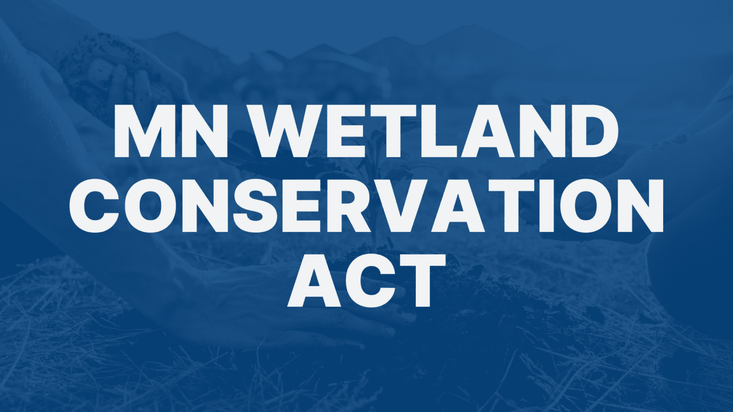 Understanding the 2024 Changes to Minnesota's Wetland Conservation Act - Moore Engineering, Inc.