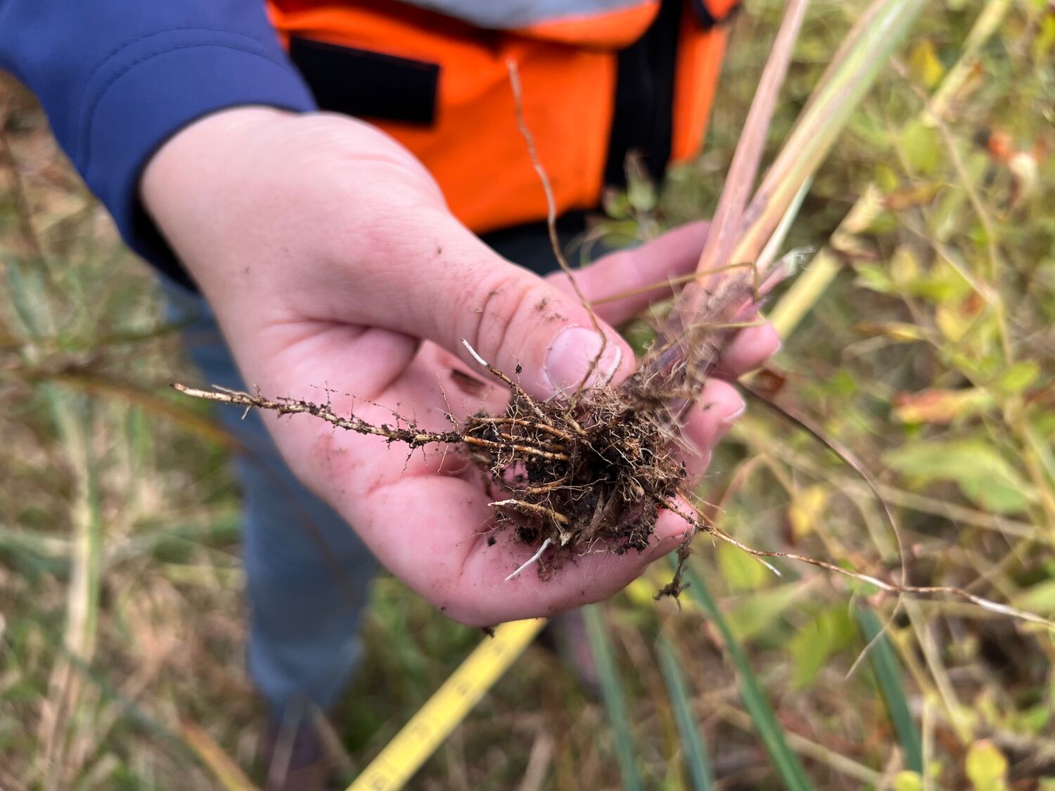 Environmental Services - Moore Engineering, Inc.